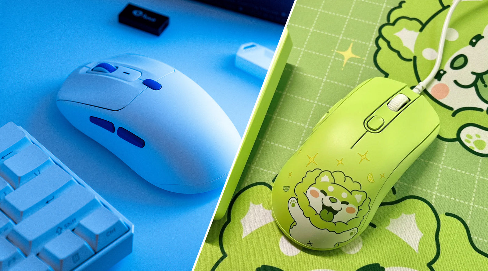 Download Center | AKKO EU