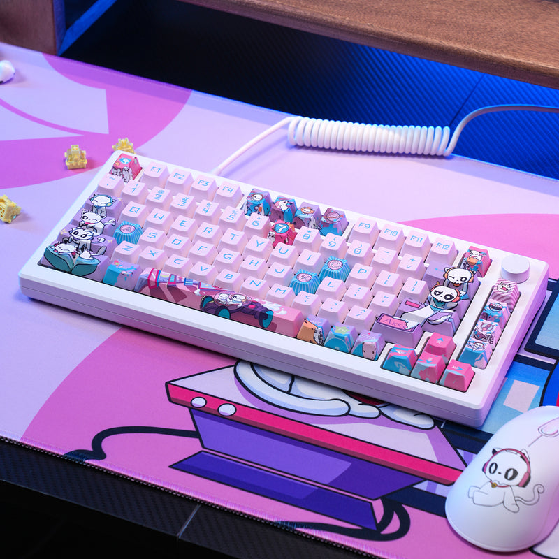 All Custom Mechanical Keyboards, Customizing Typing| AKKO