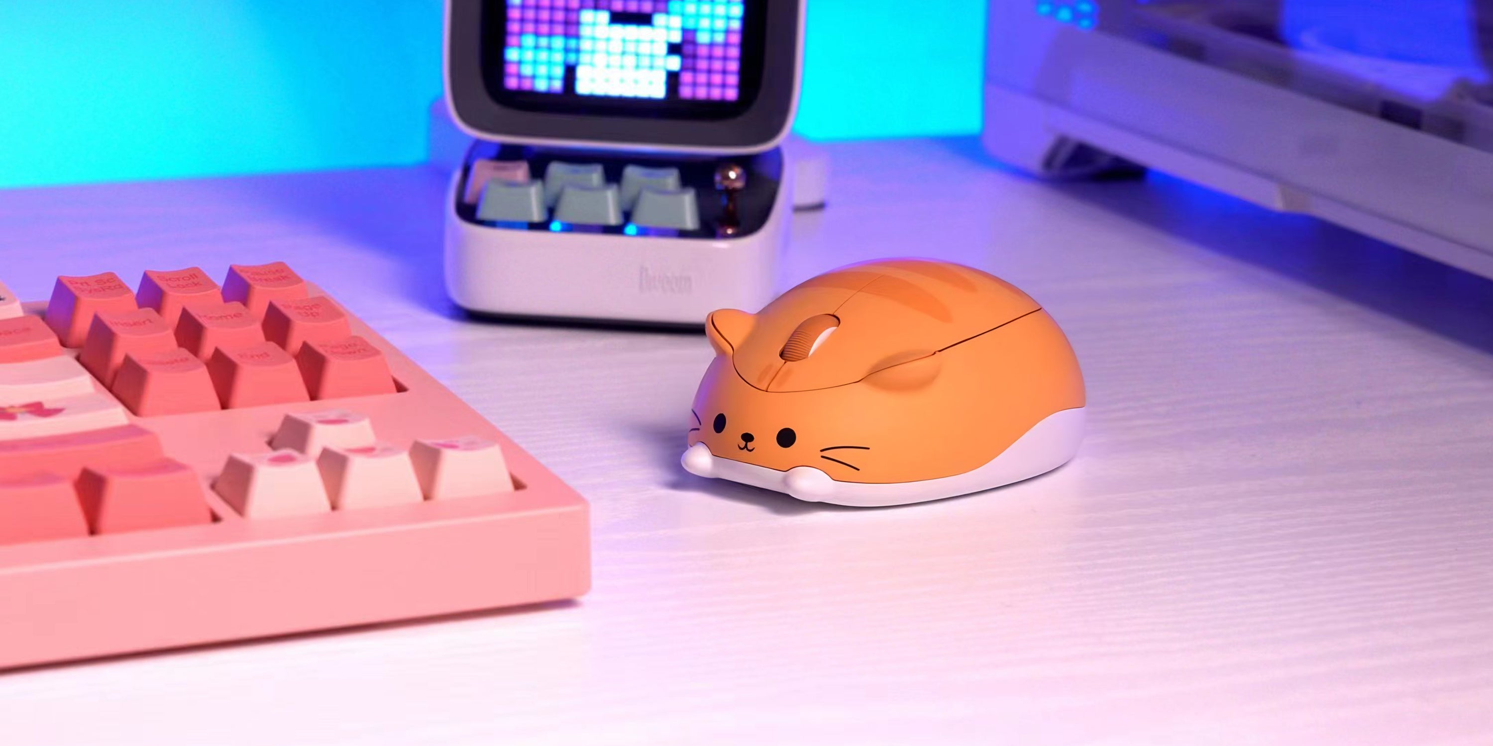 Keyboard Accessories -AKKO