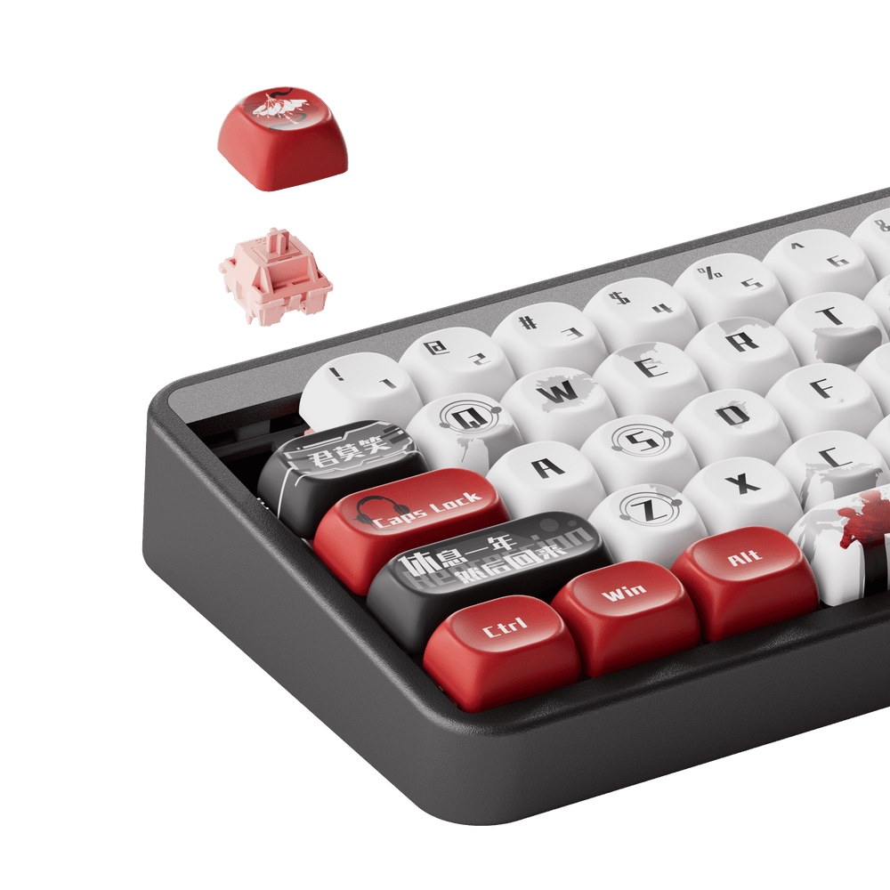 Akko JIN01 The King's Avatar - Ye Xiu 65% Aluminum Keyboard | AKKO EU