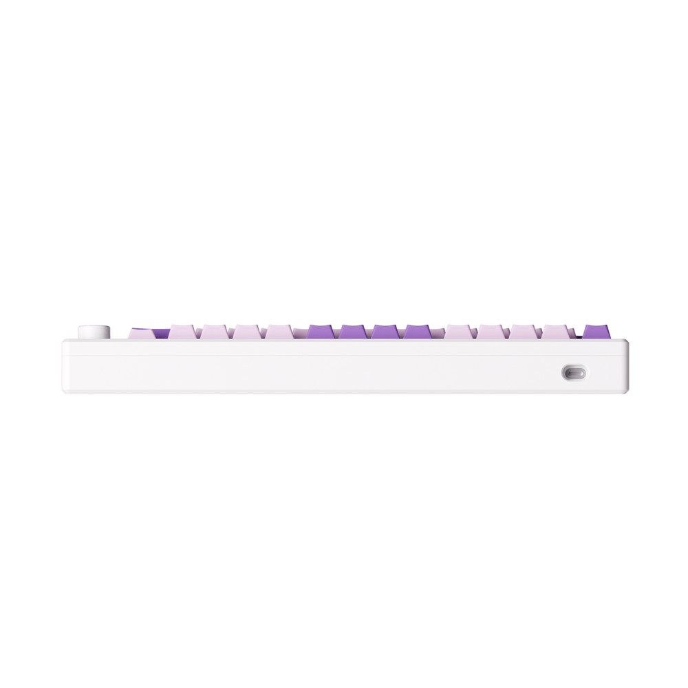 Akko MOD 007 HE PC Purple Melody Magnetic Keyboard | AKKO EU