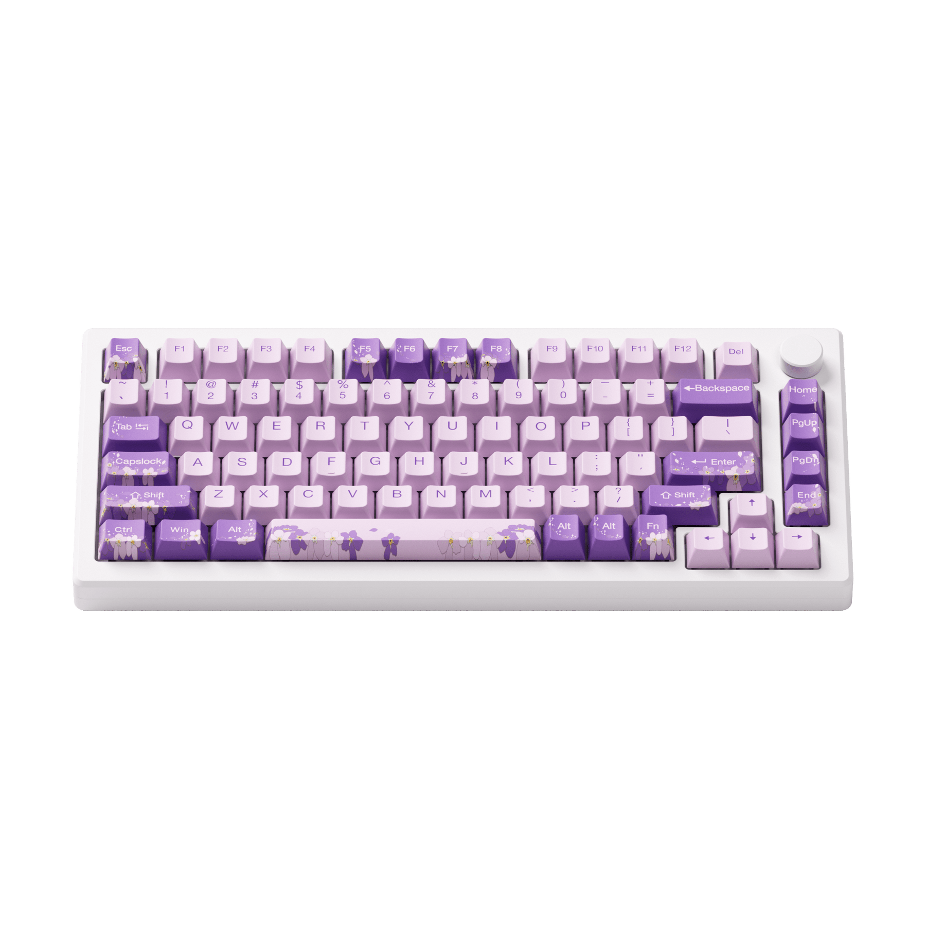 Akko MOD 007 HE PC Purple Melody Magnetic Keyboard | AKKO EU