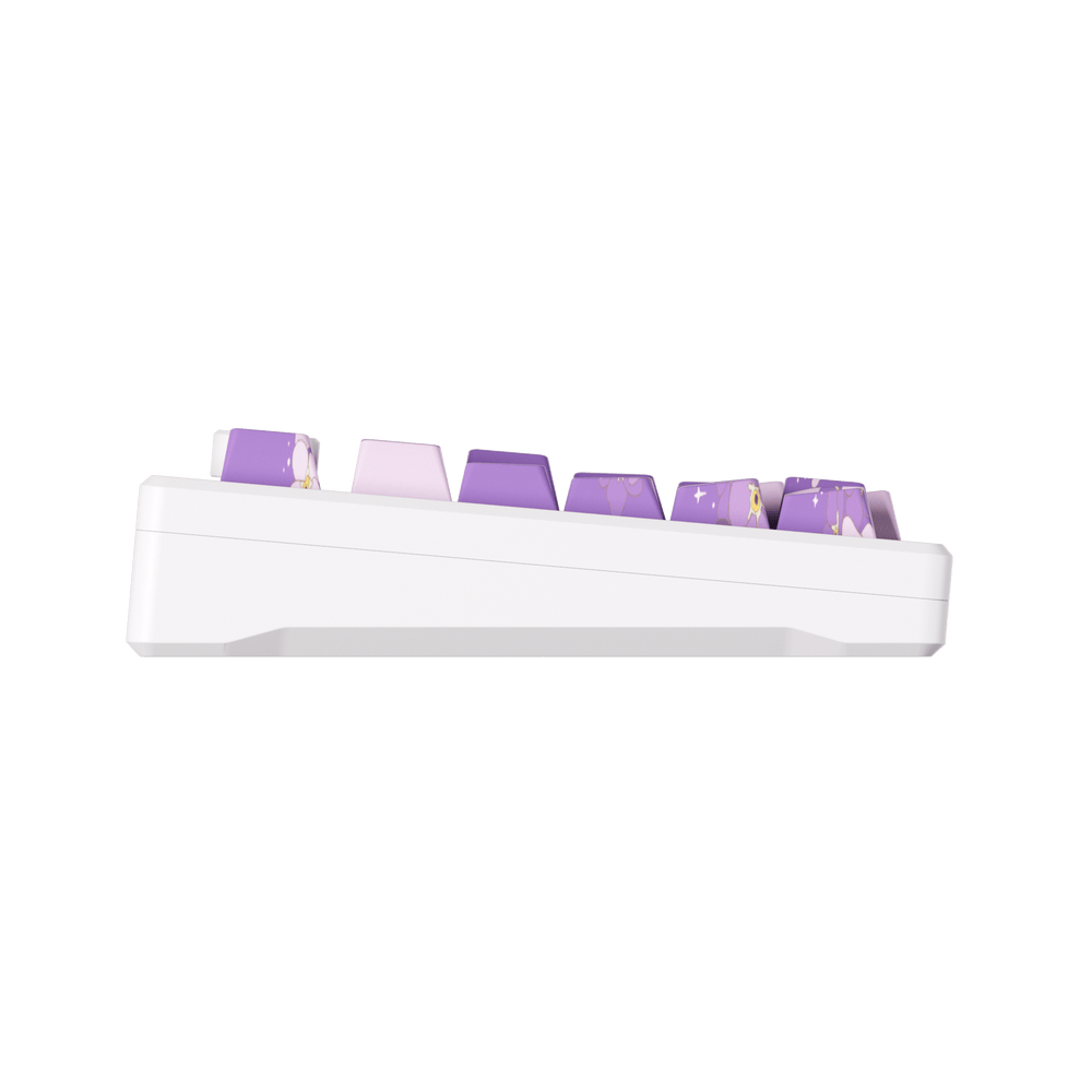 Akko MOD 007 HE PC Purple Melody Magnetic Keyboard | AKKO EU