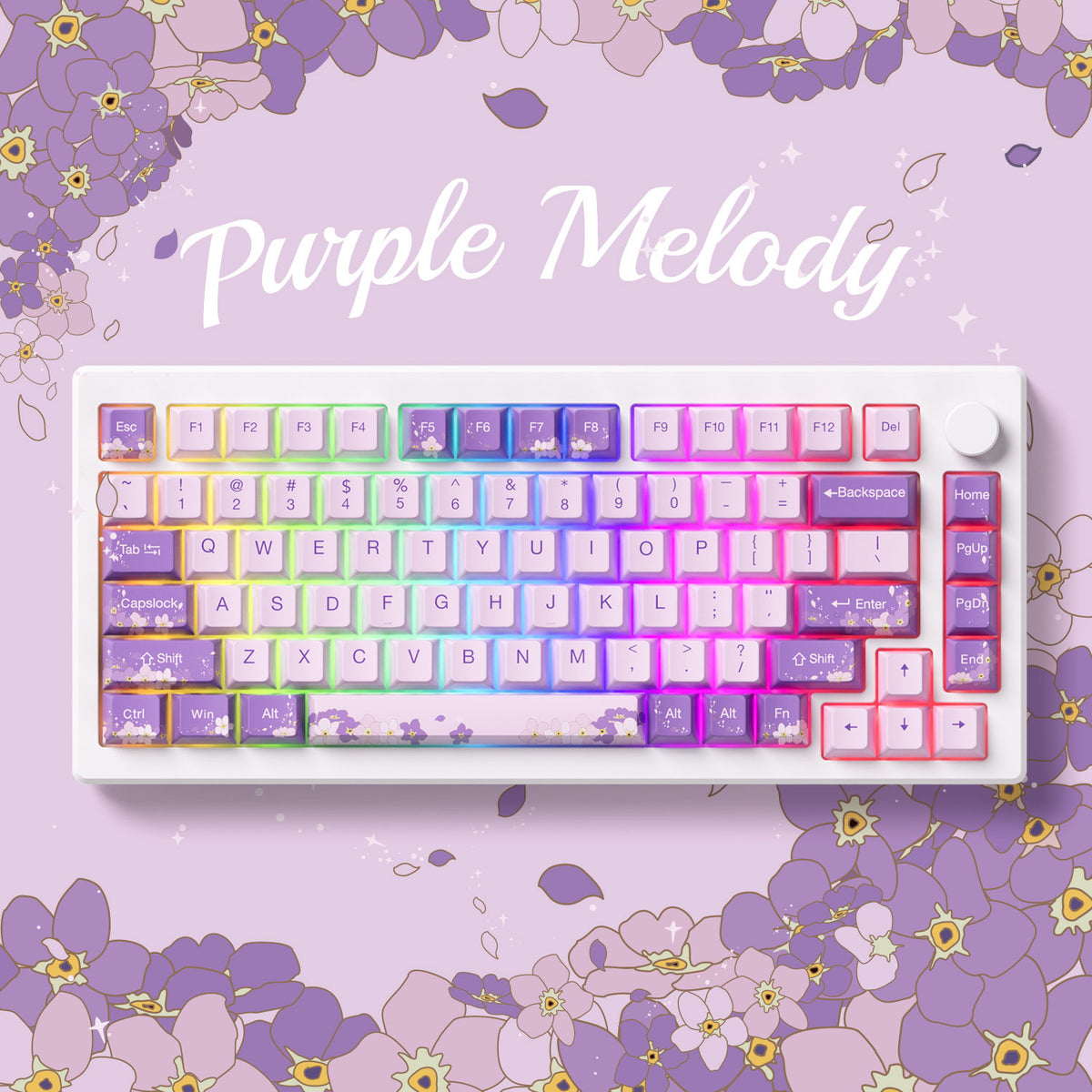 Akko MOD 007 HE PC Purple Melody Magnetic Keyboard | AKKO EU