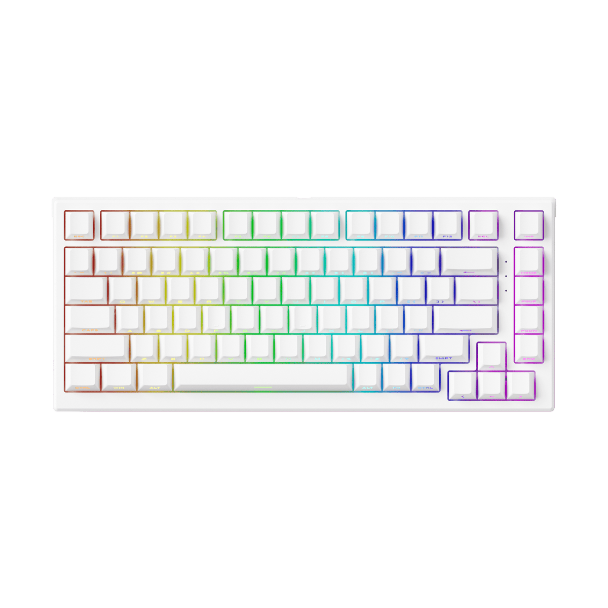 Akko TAC75 HE Magnetic Keyboard- Black & White | AKKO EU