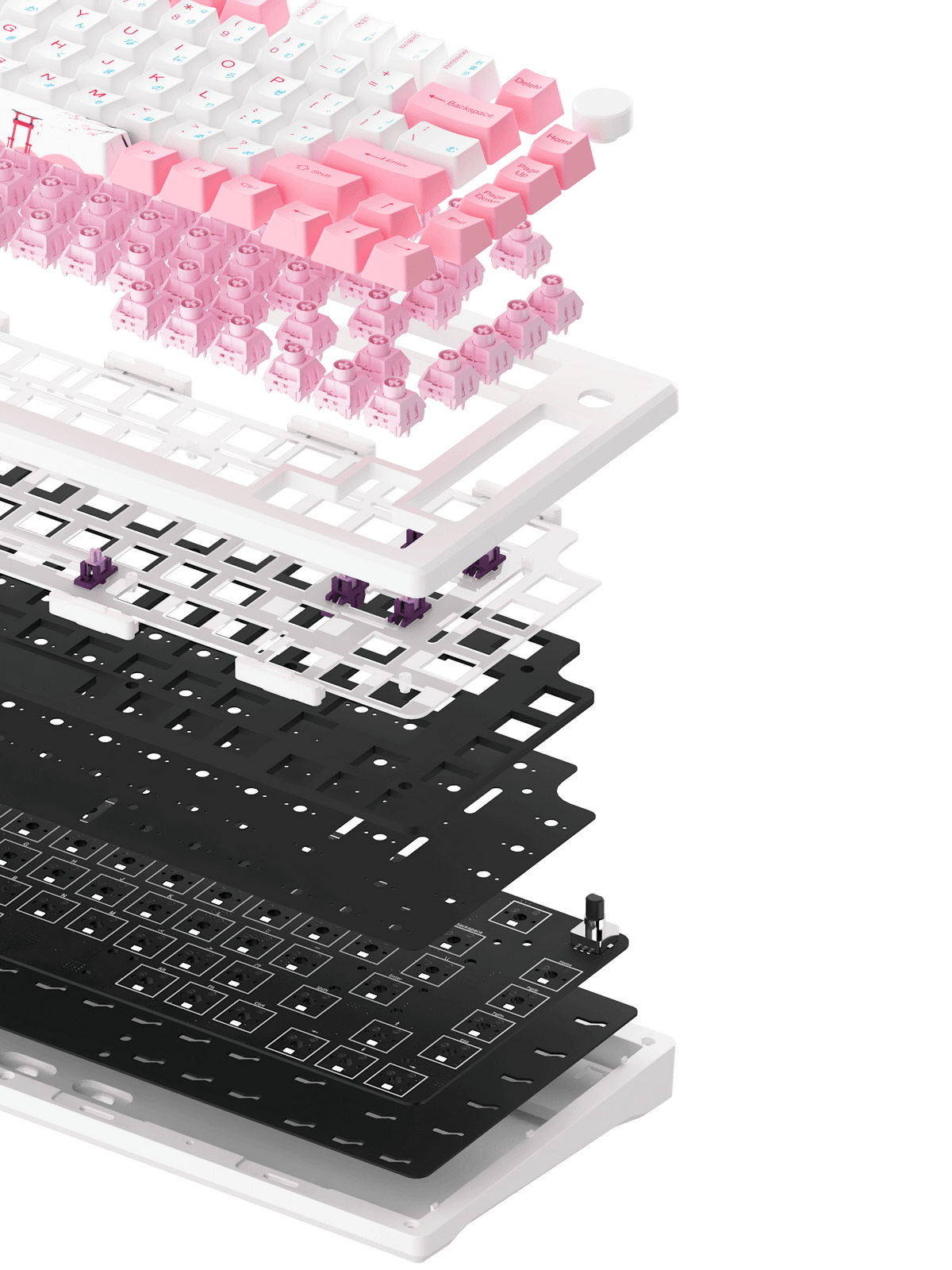 MOD 007B PC Tokyo R2