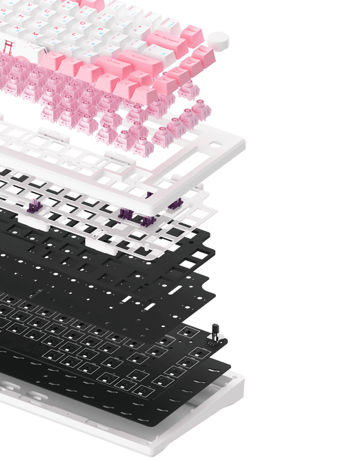 MOD 007B PC Tokyo R2