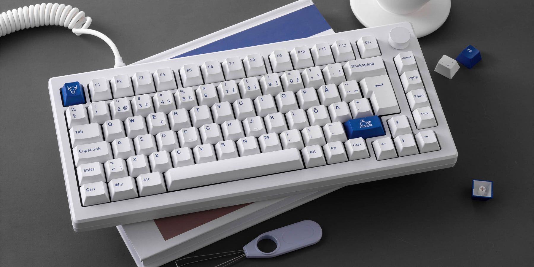 Akkogear.eu｜Designer for Mechanical Keyboard
