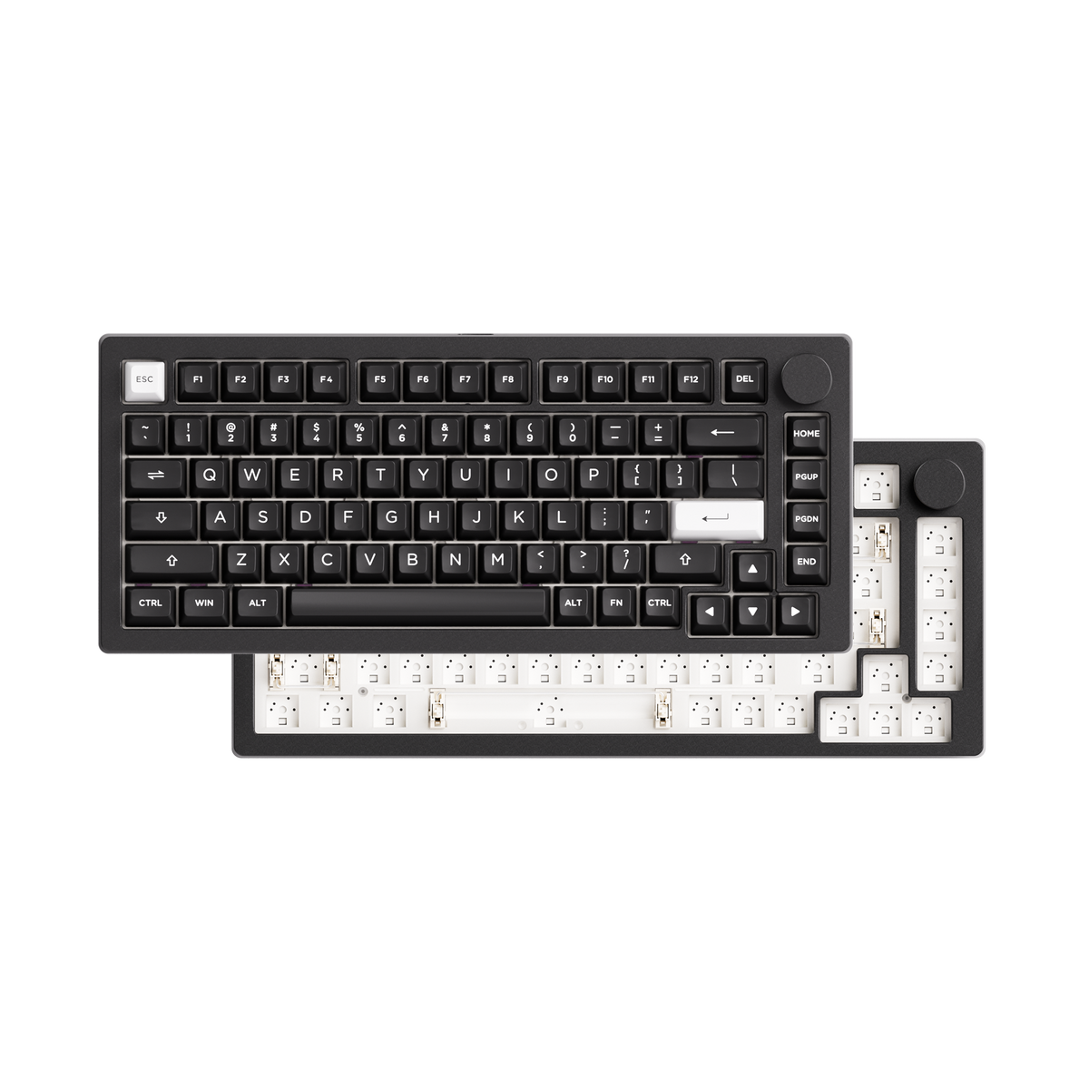 Ultimate Keyboard Sizes & Layouts Guide for Buyers